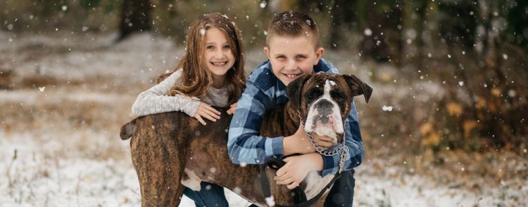 Christmas Mini Sessions: Capture Memories | ShootProof Blog